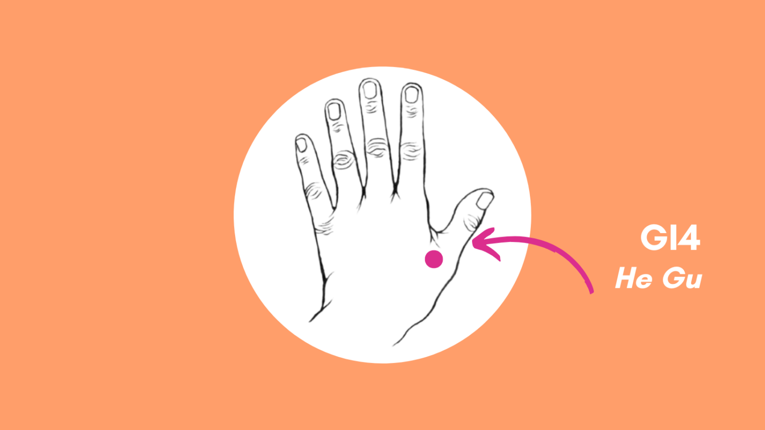 Point GI4 : repérage, explications & fonctions - Mélissa Carré