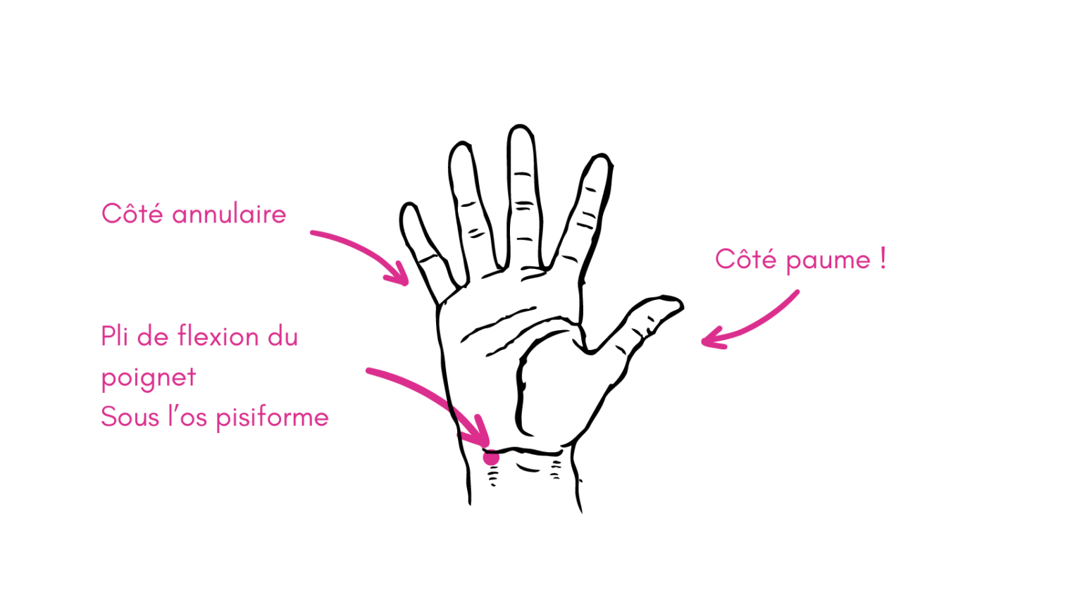 Point C7 : repérage, explications & fonctions - Mélissa Carré